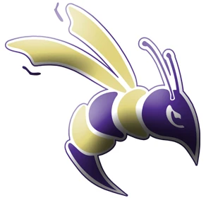 Defiance Yellow Jackets | Basketball Wiki | Fandom