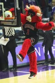 Benny the Bull | Basketball Wiki | Fandom