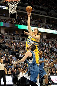 Timofey Mozgov | Basketball Wiki | Fandom