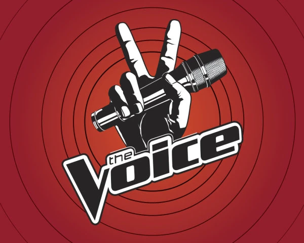 The Rounds | NBC the voice Wiki | Fandom