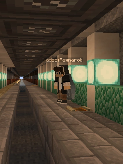 Ryan (BladeOfRaganarok) | NBC Zelda mcServer Wiki | Fandom