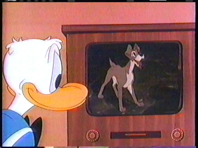 February 14, 1986 | NBC Archives Wiki | Fandom