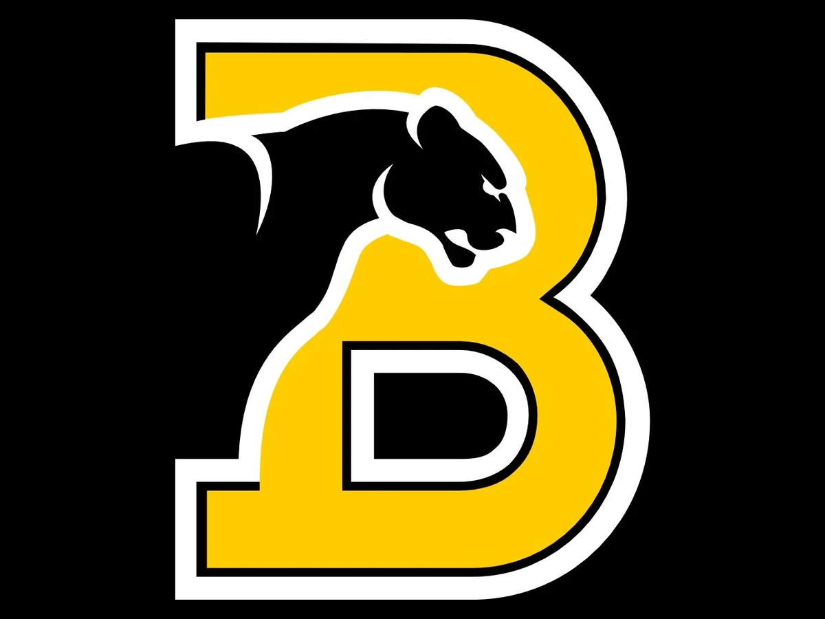 Birmingham-Southern Panthers | NCAA Athletic Teams Wiki | Fandom