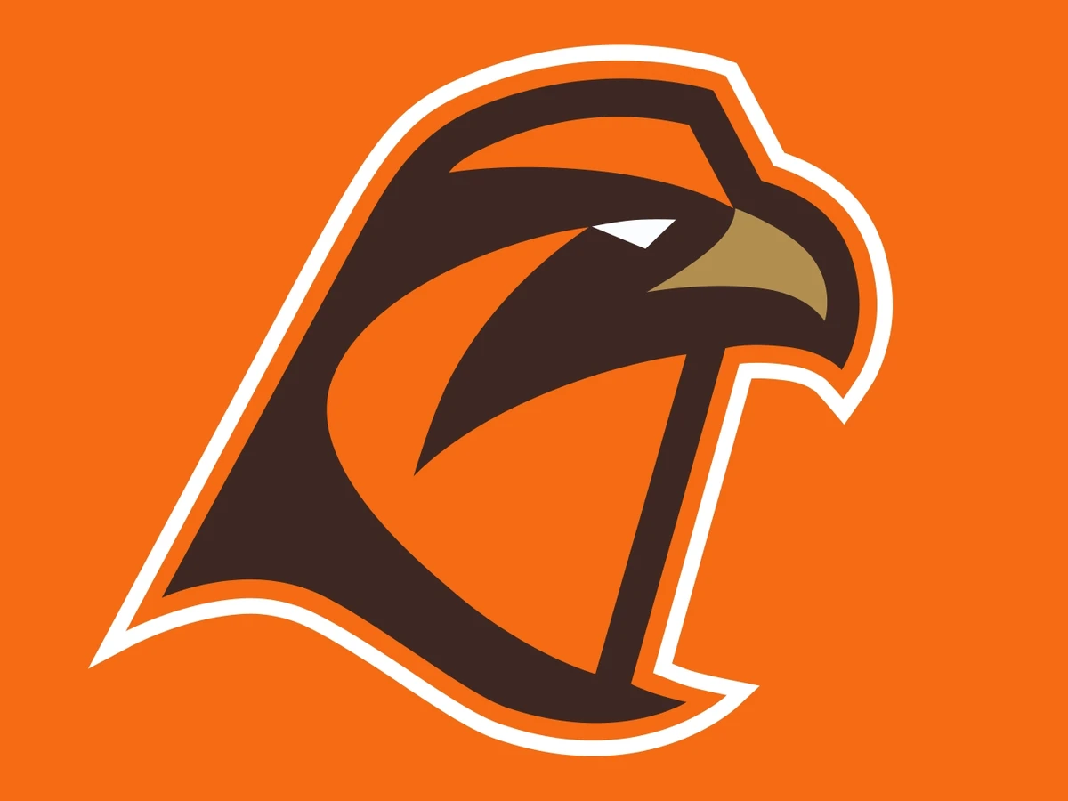 Bowling Green Falcons | NCAA Football Wiki | Fandom