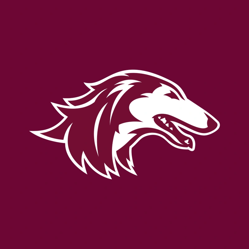 Southern Illinois Salukis | NCAA Football Wiki | Fandom