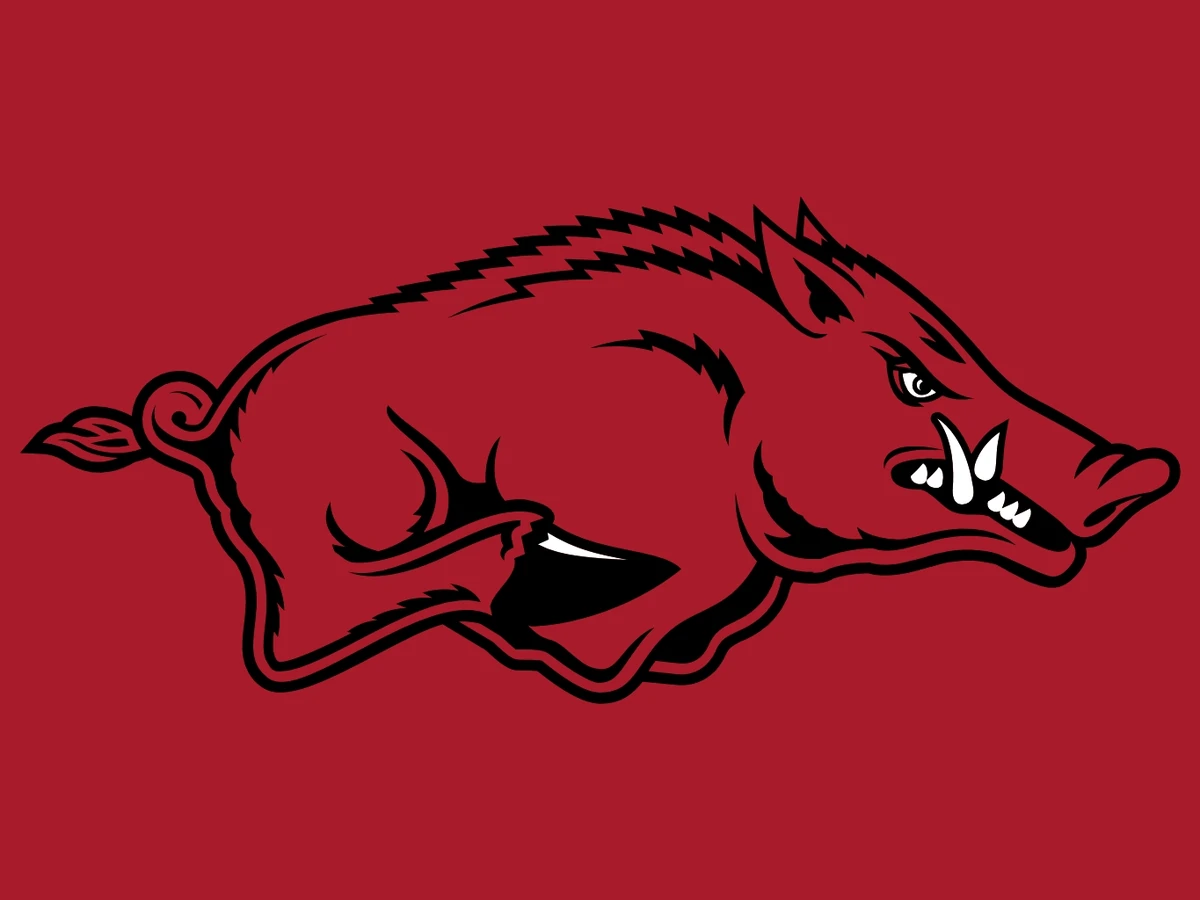 Arkansas Razorbacks | NCAA Sports Wiki | Fandom