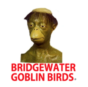 Bridgewater | NCAA Football Wiki | Fandom