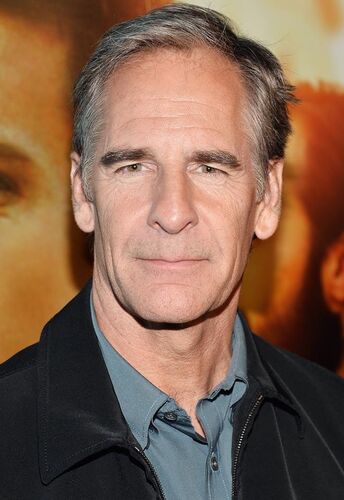Scott Bakula | NCIS: New Orleans Wiki | Fandom