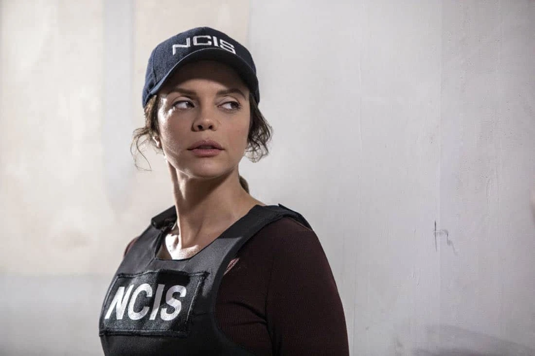 Tammy Gregorio (character) | NCIS: New Orleans Wiki | Fandom