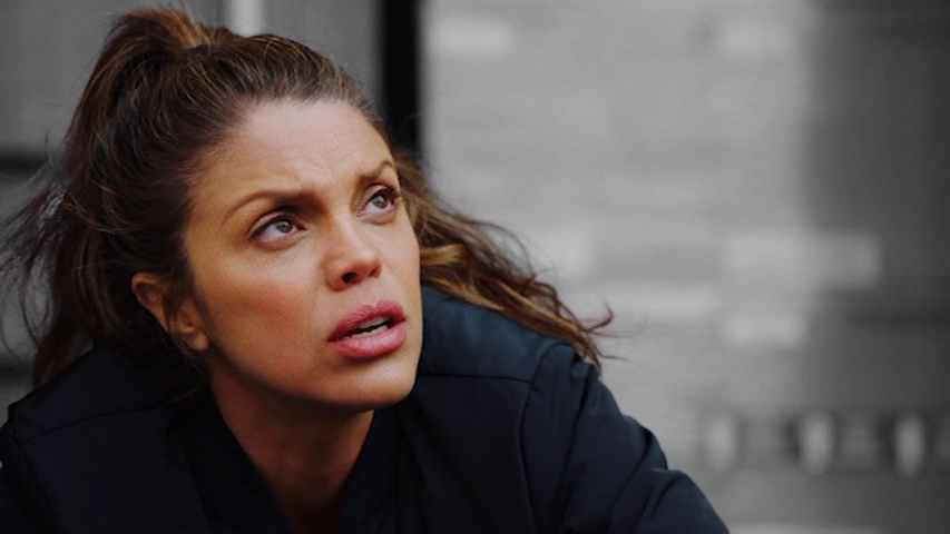 A House Divided (episode) | NCIS Database | Fandom