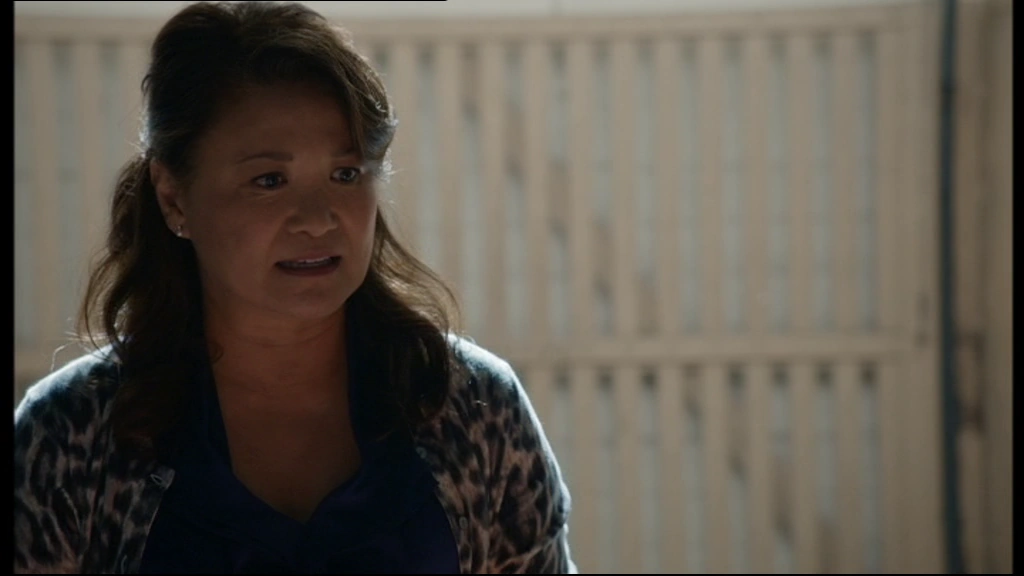 Ashley Hong | NCIS Database | Fandom