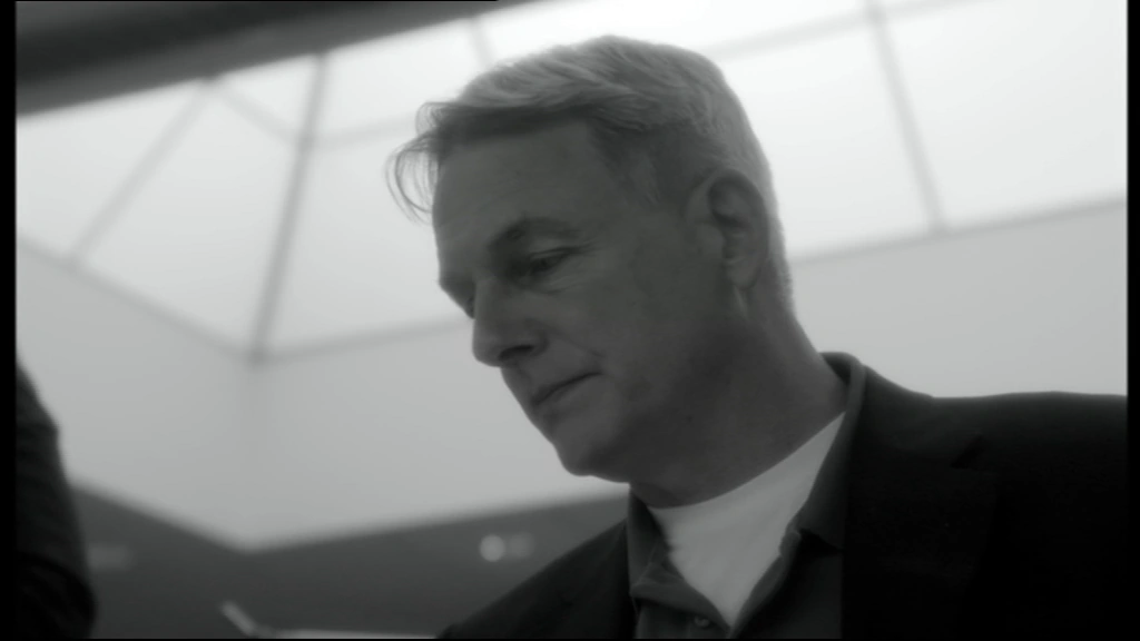 Freedom (episode) | NCIS Database | Fandom
