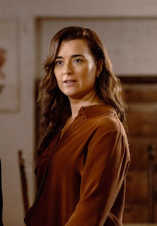 Ziva David Gravid