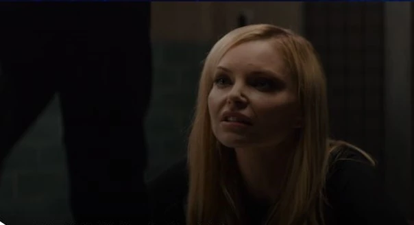 Alina Nikitin | NCIS Database | Fandom