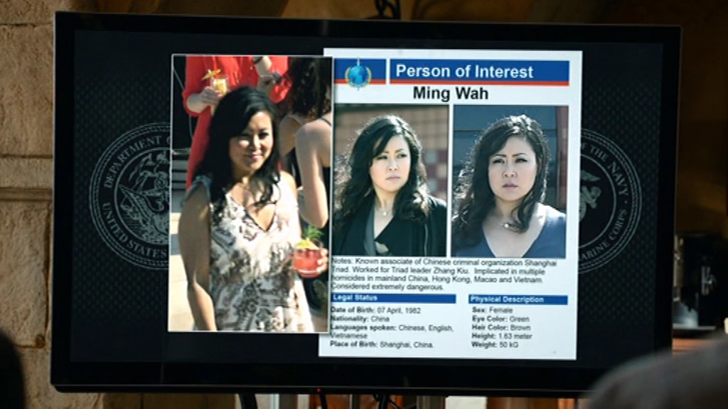 Ming Wah | NCIS Database | Fandom