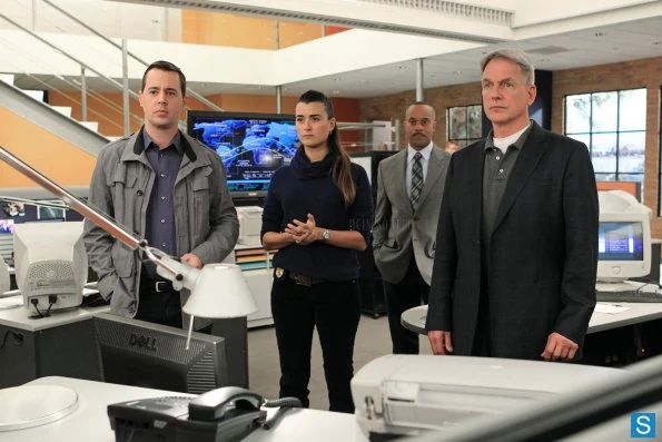 Le tueur à la rose fanée (épisode) | Wiki NCIS | Fandom