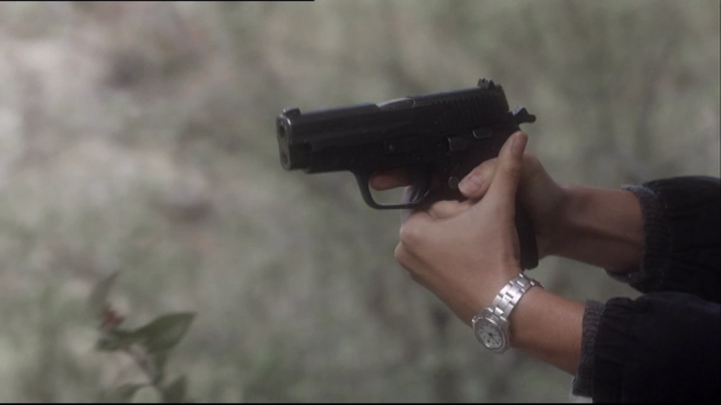 Ziva David Gun