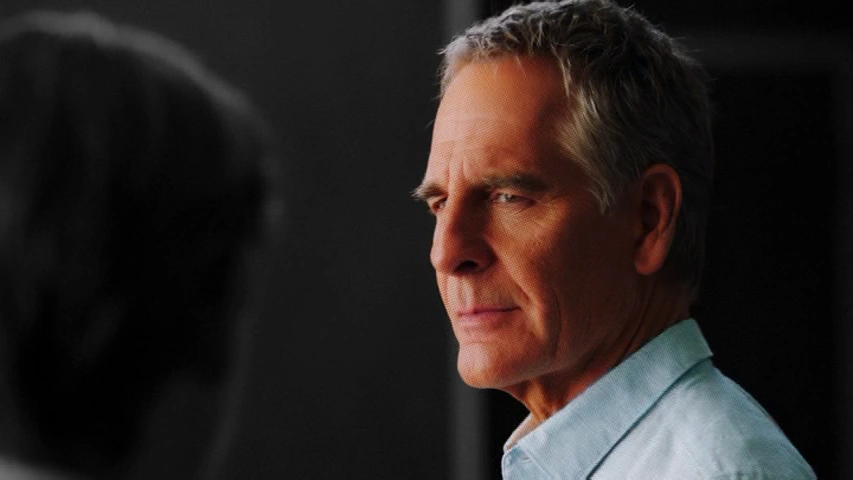 Predators (episode) | NCIS Database | Fandom