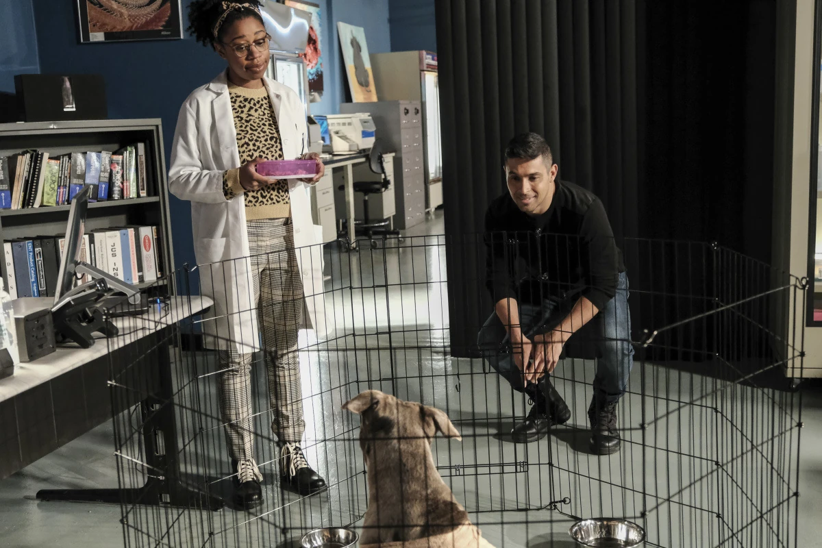 Chien de garde (épisode) | Wiki NCIS | Fandom