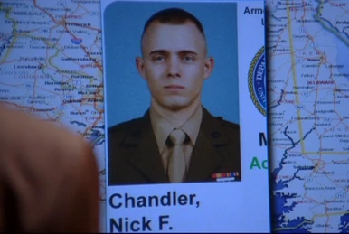 Tim Guinee Homeland