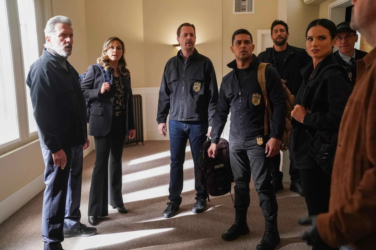 L'affaire Dale Harding (épisode) | Wiki NCIS | Fandom