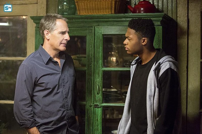 Danny Malloy | Wiki NCIS | Fandom