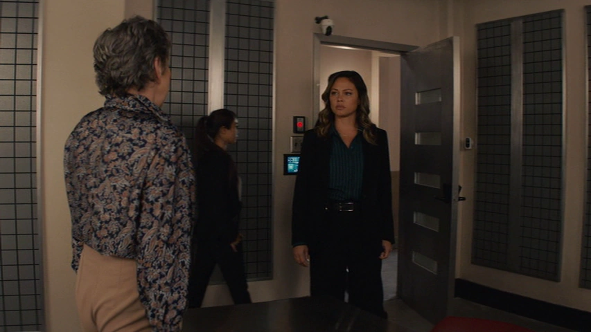 FBI Agent (Spies Part 2) | NCIS Database | Fandom