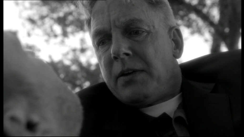 Shell Shock (Part 2) (episode) | NCIS Database | Fandom