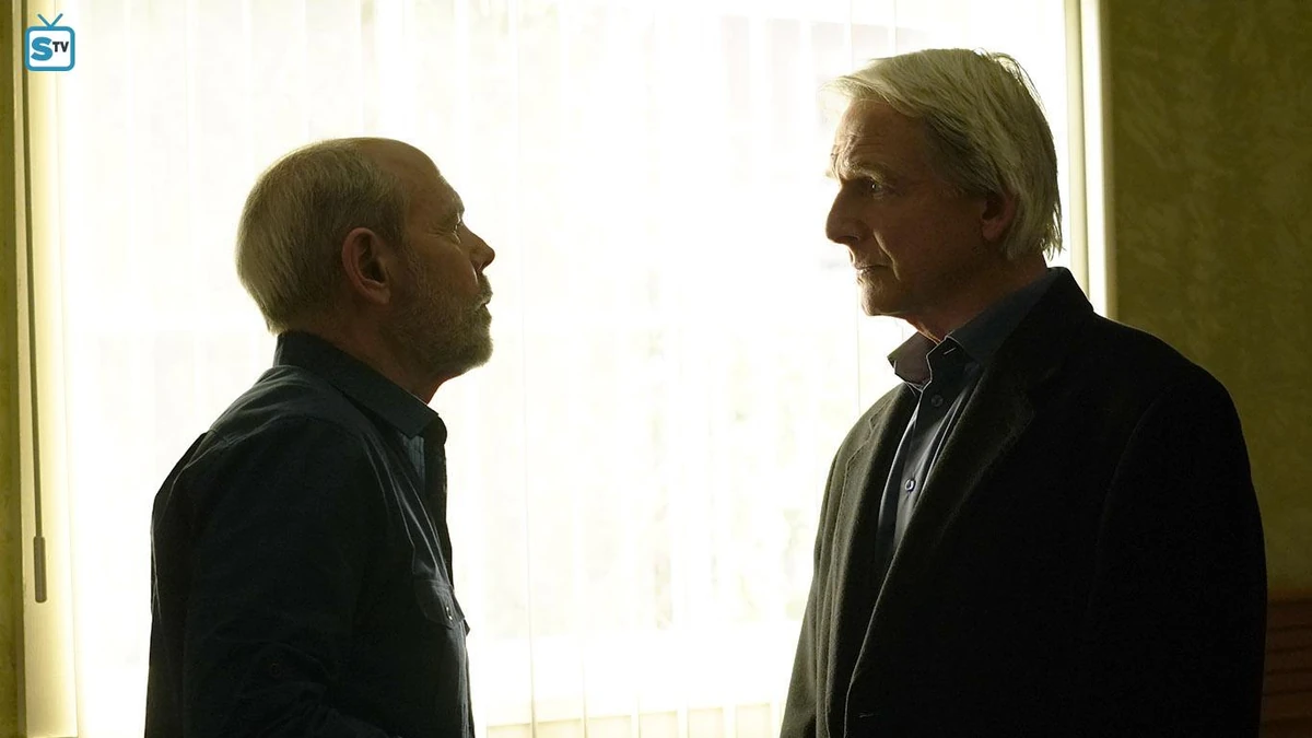 Le détective (épisode) | Wiki NCIS | Fandom