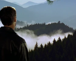 Harmon Rabb Sr. | Wiki NCIS | Fandom