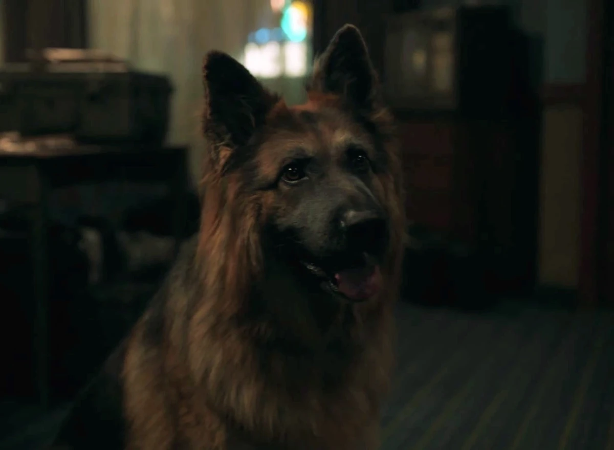 Gary Callahan | NCIS Database | Fandom