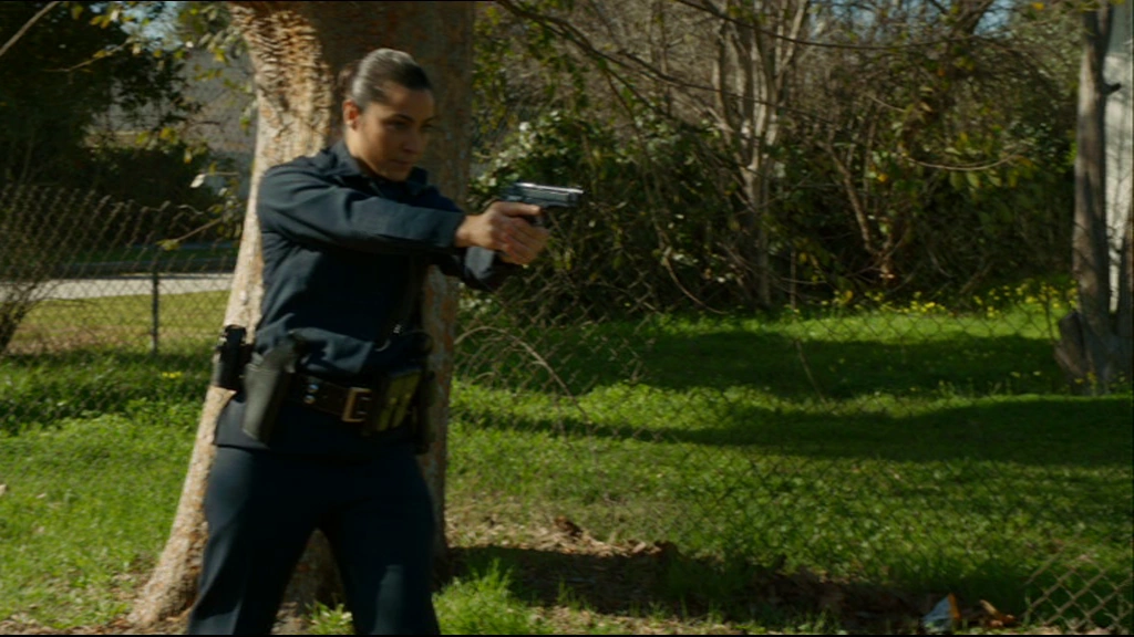 LAPD Partner | NCIS Database | Fandom