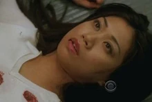 Fallen Agents | Ncis Franchise Wiki | Fandom