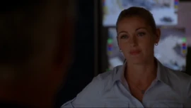 Lara Macy | Ncis Franchise Wiki | Fandom