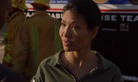 Joanna Wright | Ncis Franchise Wiki | Fandom