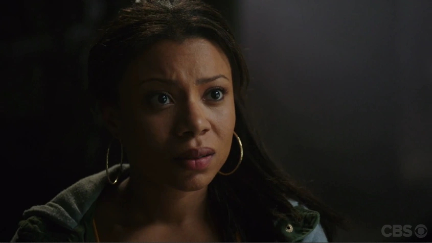 Sonja Percy | Ncis Franchise Wiki | Fandom