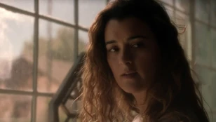Ziva David | Wiki Ncislosangeles | Fandom