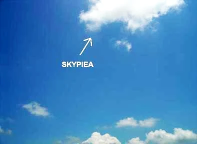 Skypiea | Ne Pece Wikia | Fandom