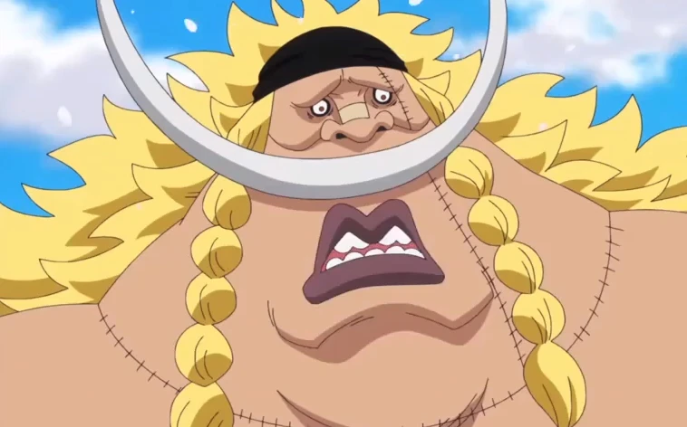 Edward Weevil | Ne Pece Wikia | Fandom