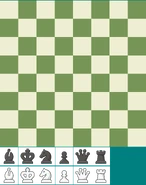 The Password Game | Neal-fun Wiki | Fandom