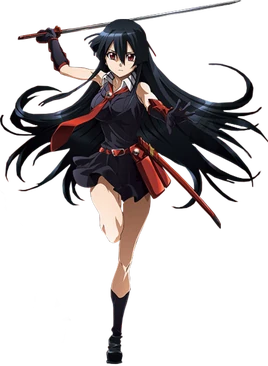 Akame | Near Pure Good Hero Wiki | Fandom