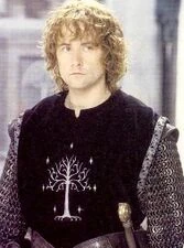 Pippin Took | Near Pure Good Hero Wiki | Fandom