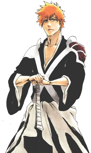 Ichigo Kurosaki | Near Pure Good Hero Wiki | Fandom