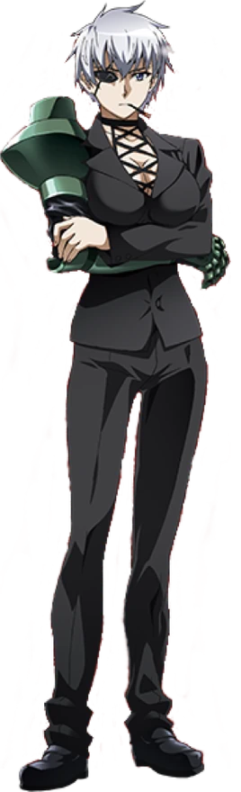 Najenda | Near Pure Good Hero Wiki | Fandom