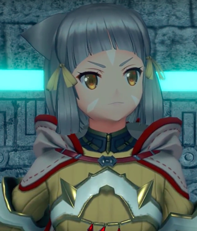 Nia (Xenoblade Chronicles) | Near Pure Good Hero Wiki | Fandom