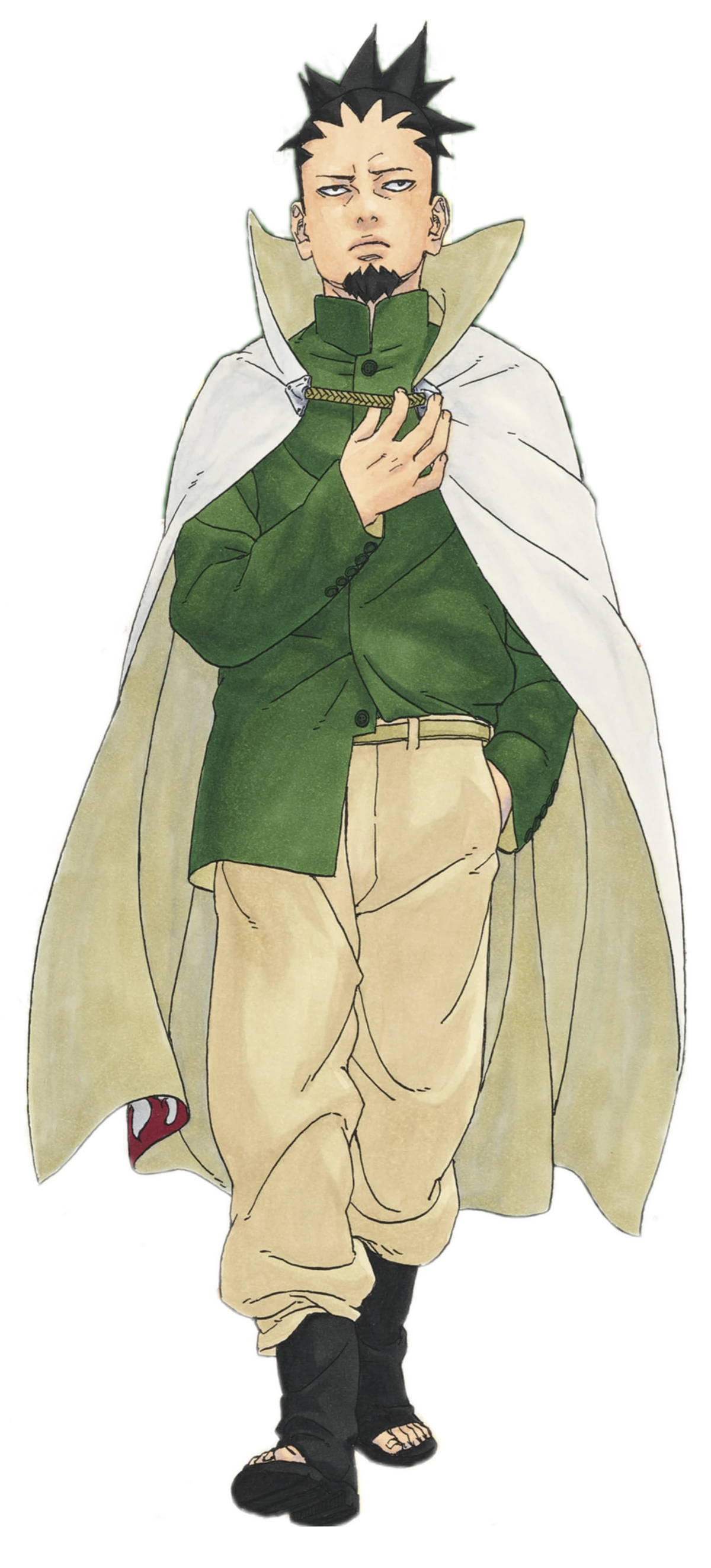 Shikamaru Nara | Near Pure Good Hero Wiki | Fandom