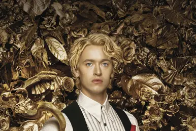 coin antagonist mockingjay