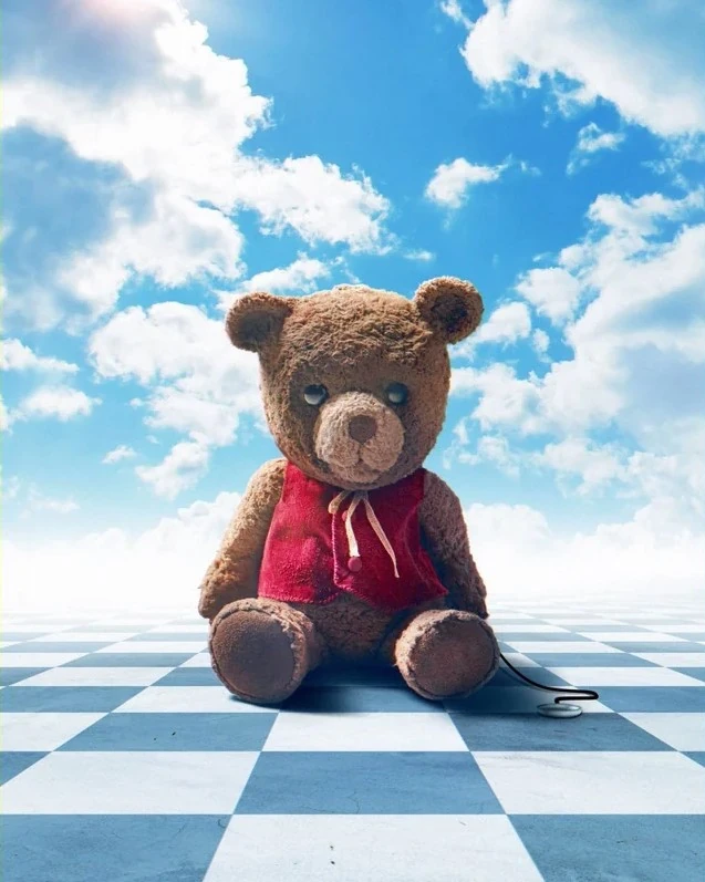 Chauncey the Bear | Near Pure Evil Wiki | Fandom