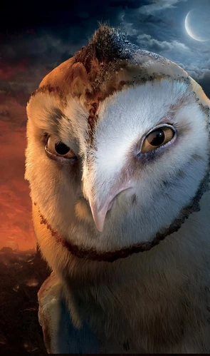 Kludd | Near Pure Evil Wiki | Fandom