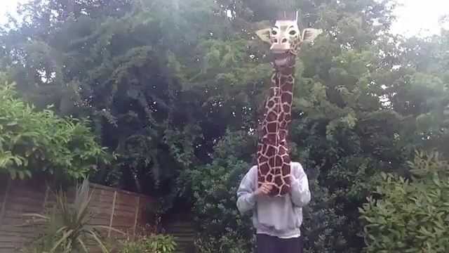 Lets Get It On | Neave.TV Wiki | Fandom